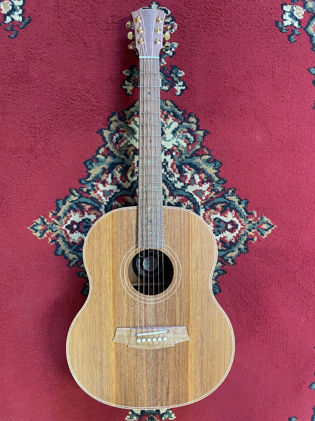 Travel / Mini Acoustic Guitars – Guitar Paradise