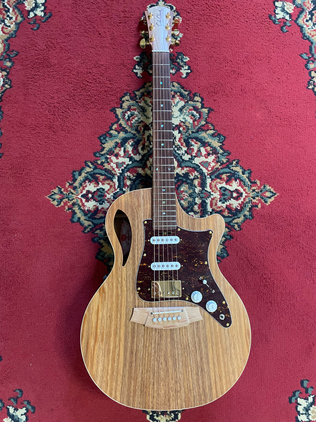 Shop all Electric Guitars – Guitar Paradise