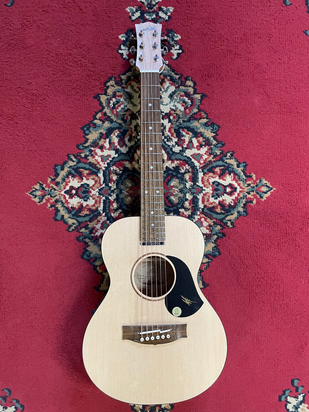 Travel / Mini Acoustic Guitars – Guitar Paradise